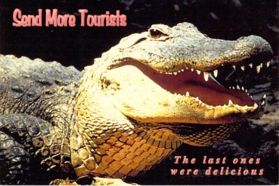 Louisiana Alligators-Send More Tourist- Advertising Unposted Postcard ...