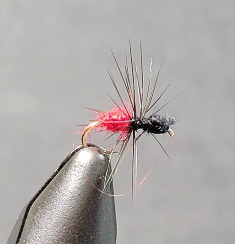 1 Fly, Size 16, BLACK & RED ANT Terrestrial Fly Fishing Flies | eBay