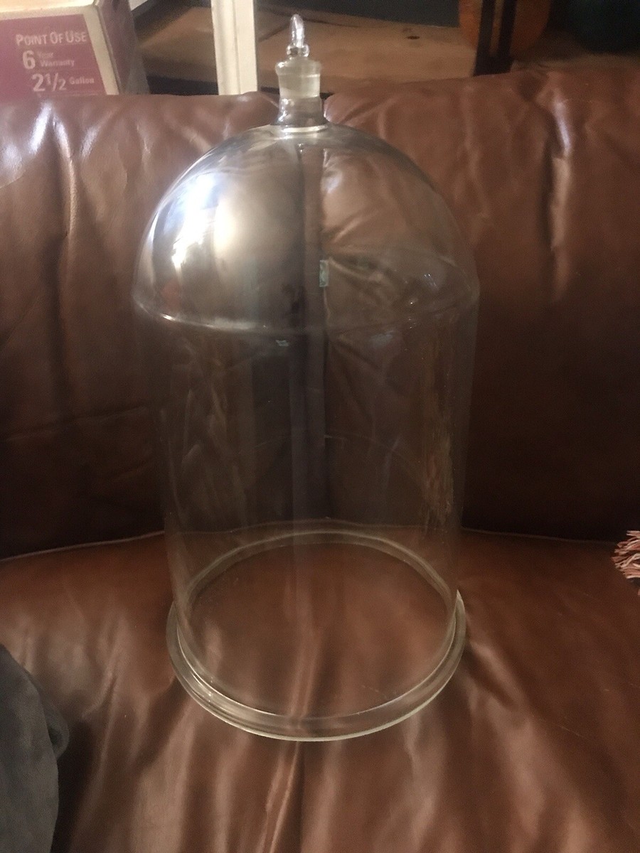 Vintage Glass Cloche Bell Jar