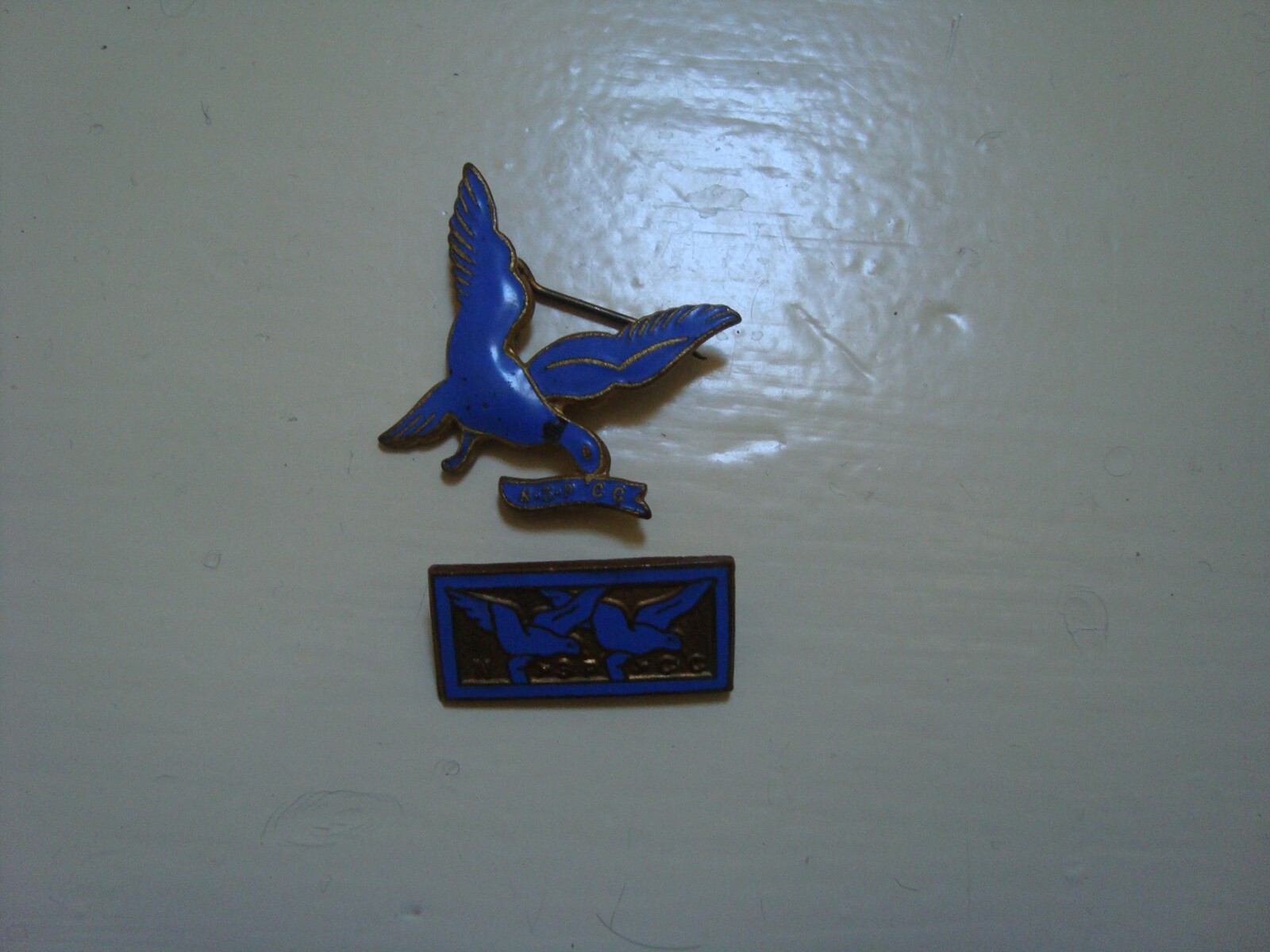 2 X VINTAGE ENAMEL BADGE NSPCC LEAGUE OF PITY CHARITY BADGE | eBay UK