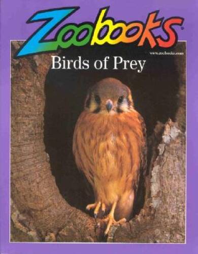 Birds Of Prey (Zoobooks Series) - Paperback By Wexo, John Bonnett ...