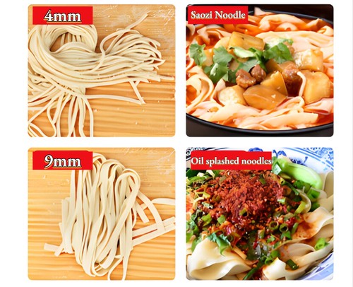 220V Household Electric Noodle Pasta Maker Dumpling Wrapper Stainless ...