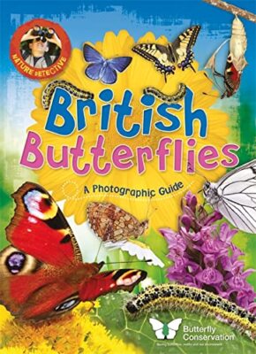 British Butterflies by Munson, Victoria Hardback Book The Fast Free ...