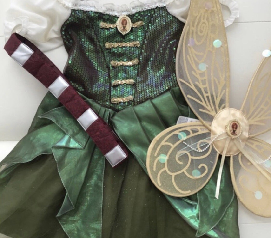 The Pirate Fairy Zarina Costume