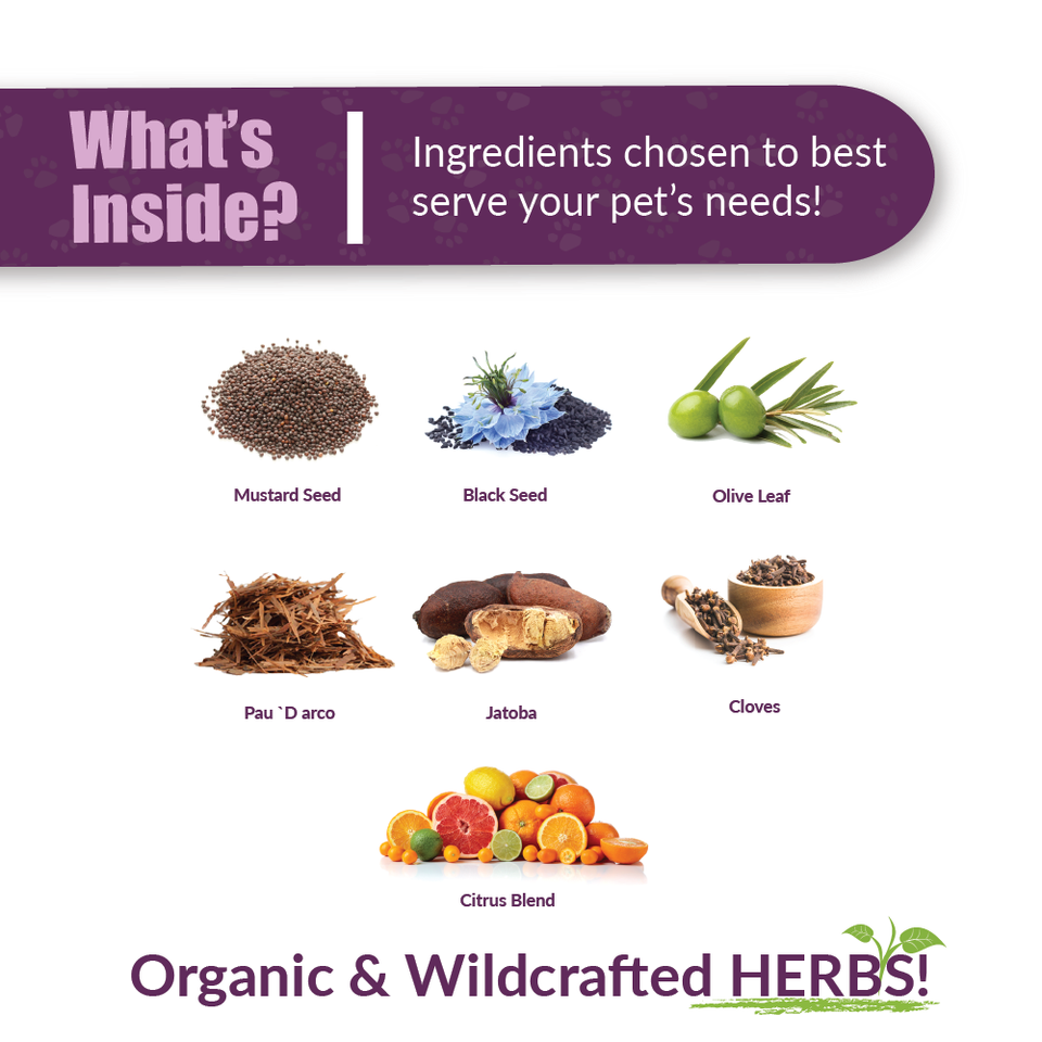 Amber Naturalz Reptaid & Reptaid XL - Natural Organic Reptile Immune ...