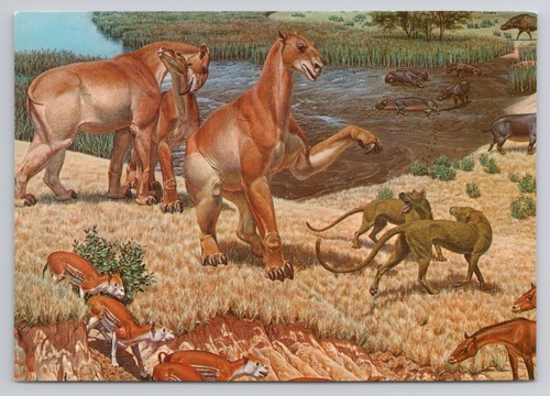 Prehistoric North American Mammals Jay H Matternes Smithsonian 1969 Art ...