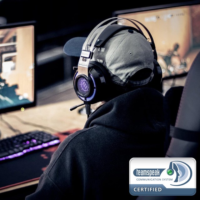 ENHANCE Scoria USB Gaming Headset with Noise Cancelling Mic 7.1 ...