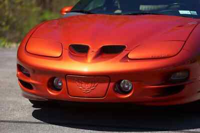 1998-2002 Firehawk Style Hood for Firebird Formula Trans-Am | eBay