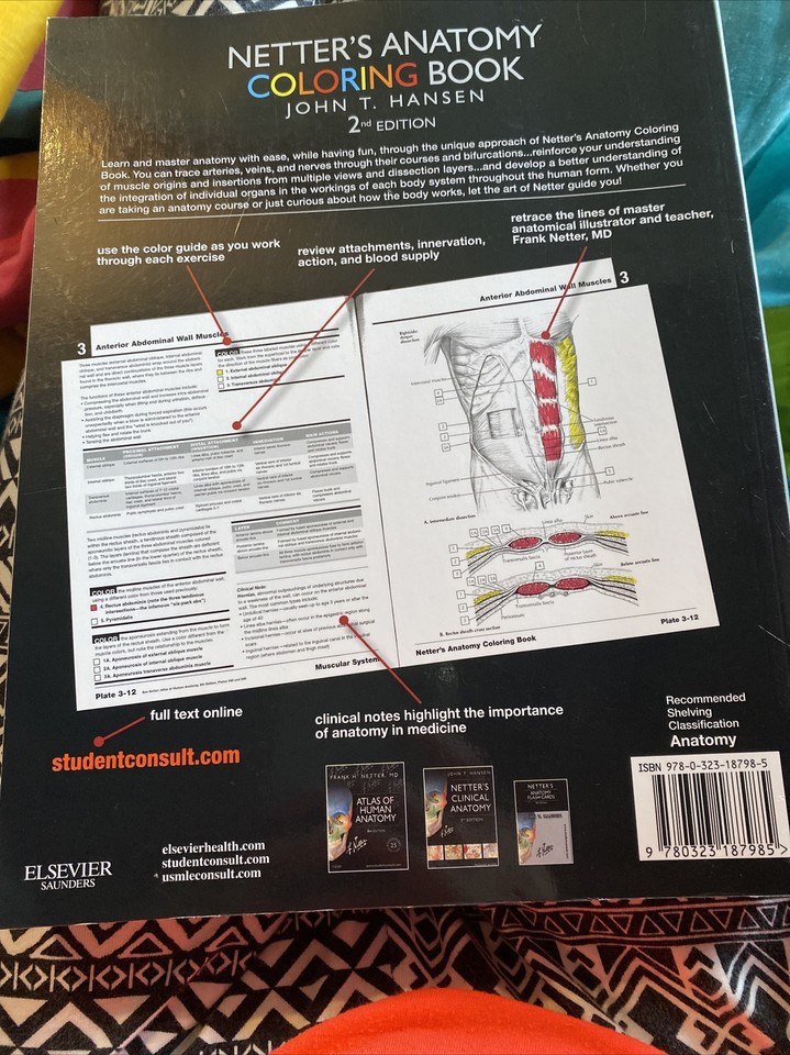 netters anatomy coloring book 9780323187985| eBay
