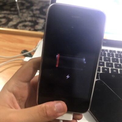 Apple iPhone 3GS 16GB Black - Poor Battery Health - Running iOS 4.1 ...