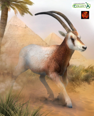 Scimitar Horned Oryx Antelope Wildlife Toy Model Figure by CollectA ...