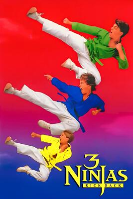 3 Ninjas Kick Back Movie Poster Jigsaw Puzzle 120 300 Pieces Pick A ...