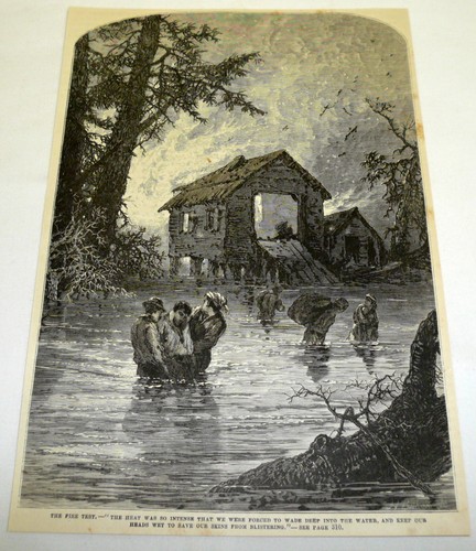 1878 magazine engraving ~ PEOPLE ESCAPING FIRE IN THE SWAMP | eBay