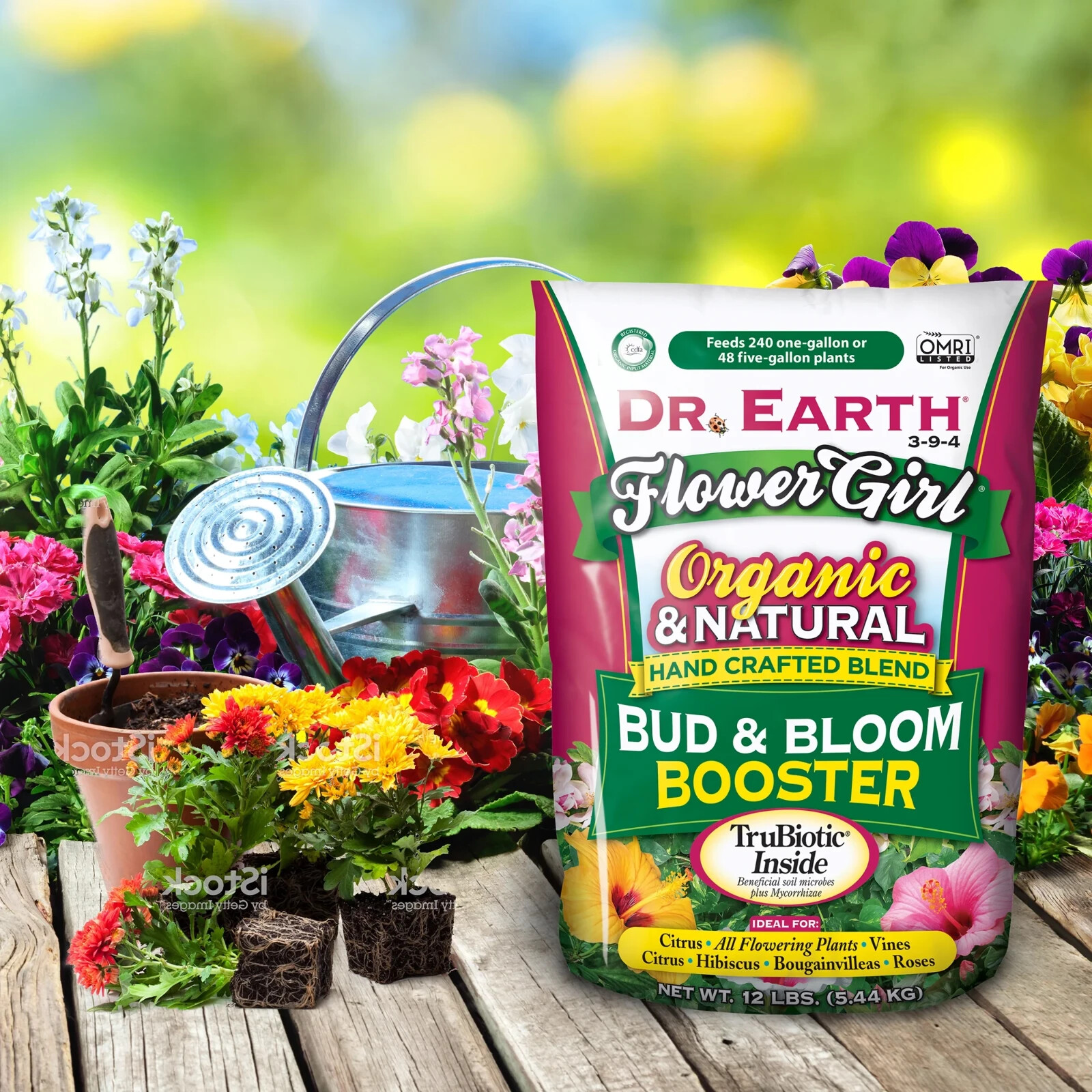 Dr. Earth Flower Girl Premium Bud & Bloom Booster Plant Food, 3-9-4 ...