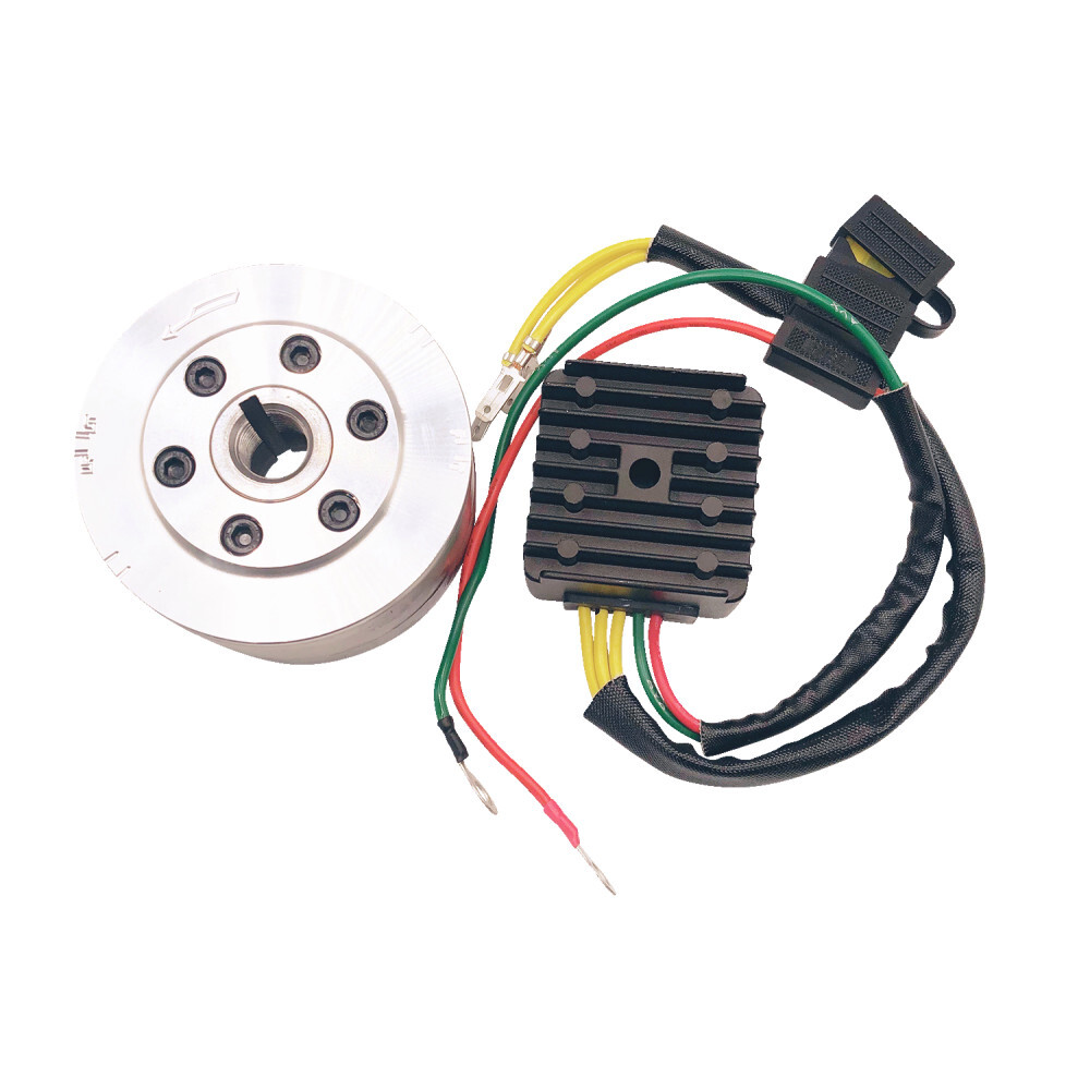 Ricks Motorsport Electric - 99-111 - Charging Kit, Honda for sale ...