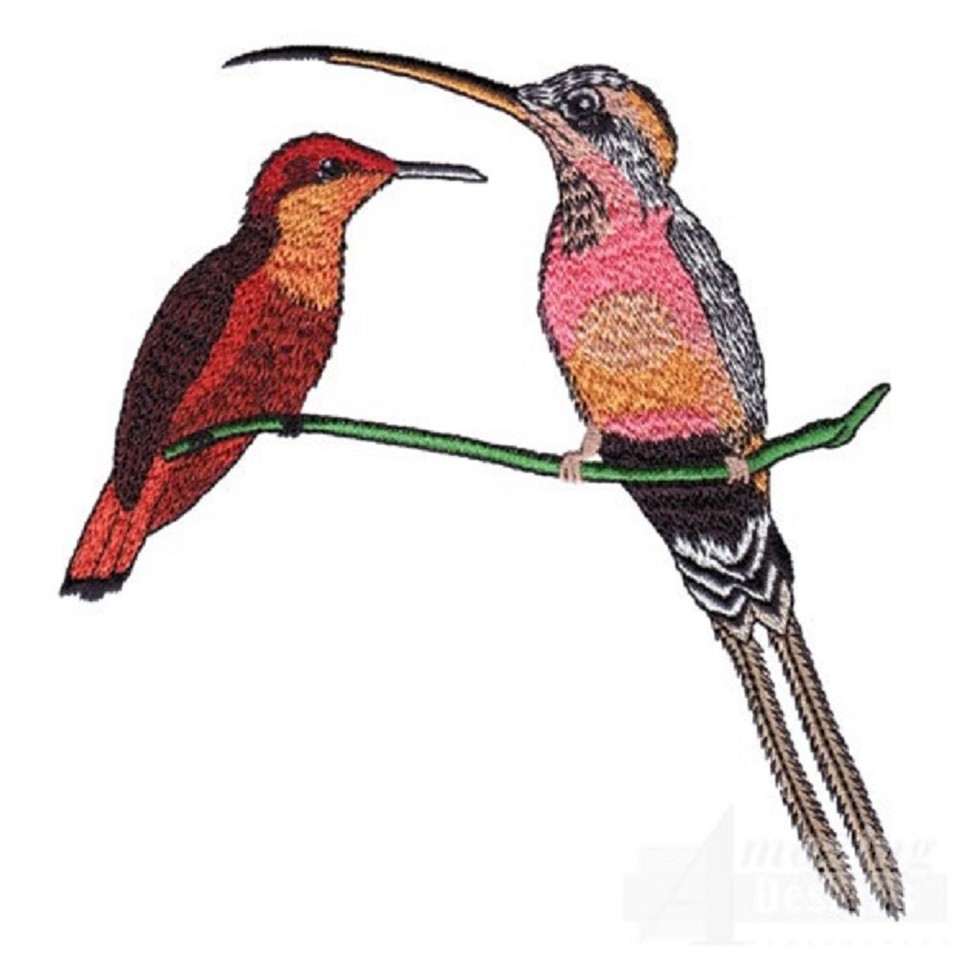 20 Hummingbird and Flowers Machine Embroidery Designs on USB | eBay