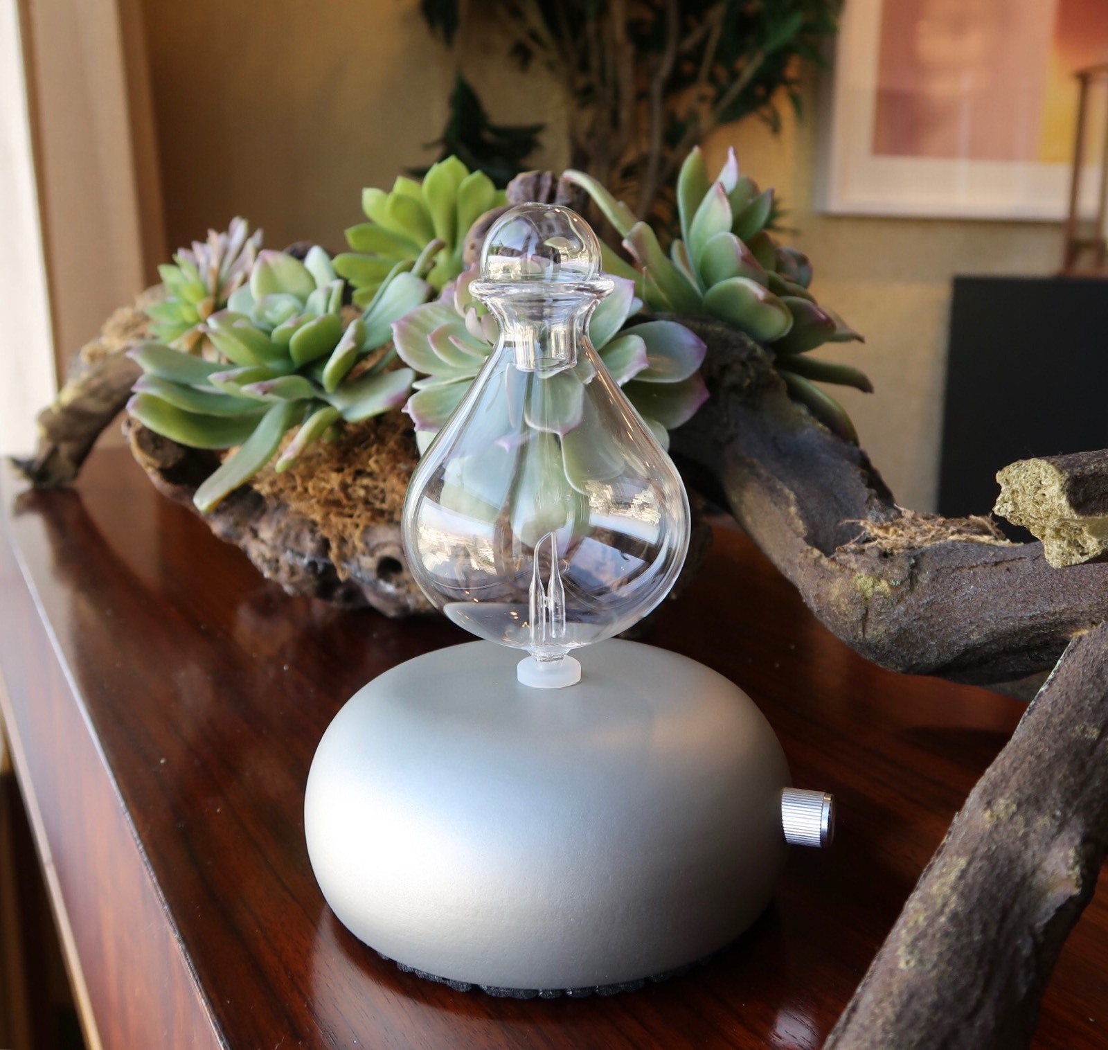 Professional Aromatherapy Diffuser : Cold Air Nebulizer | eBay