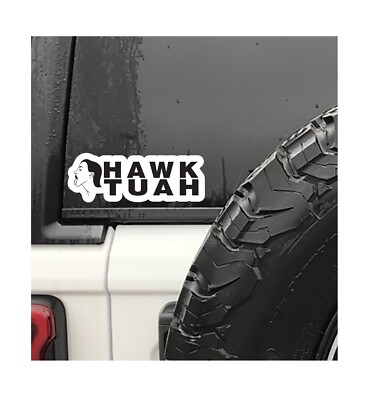 HAWK TUAH GIRL FACE PRINTED DECAL CAR TRUCK WINDOW STICKER COOL MEME | eBay