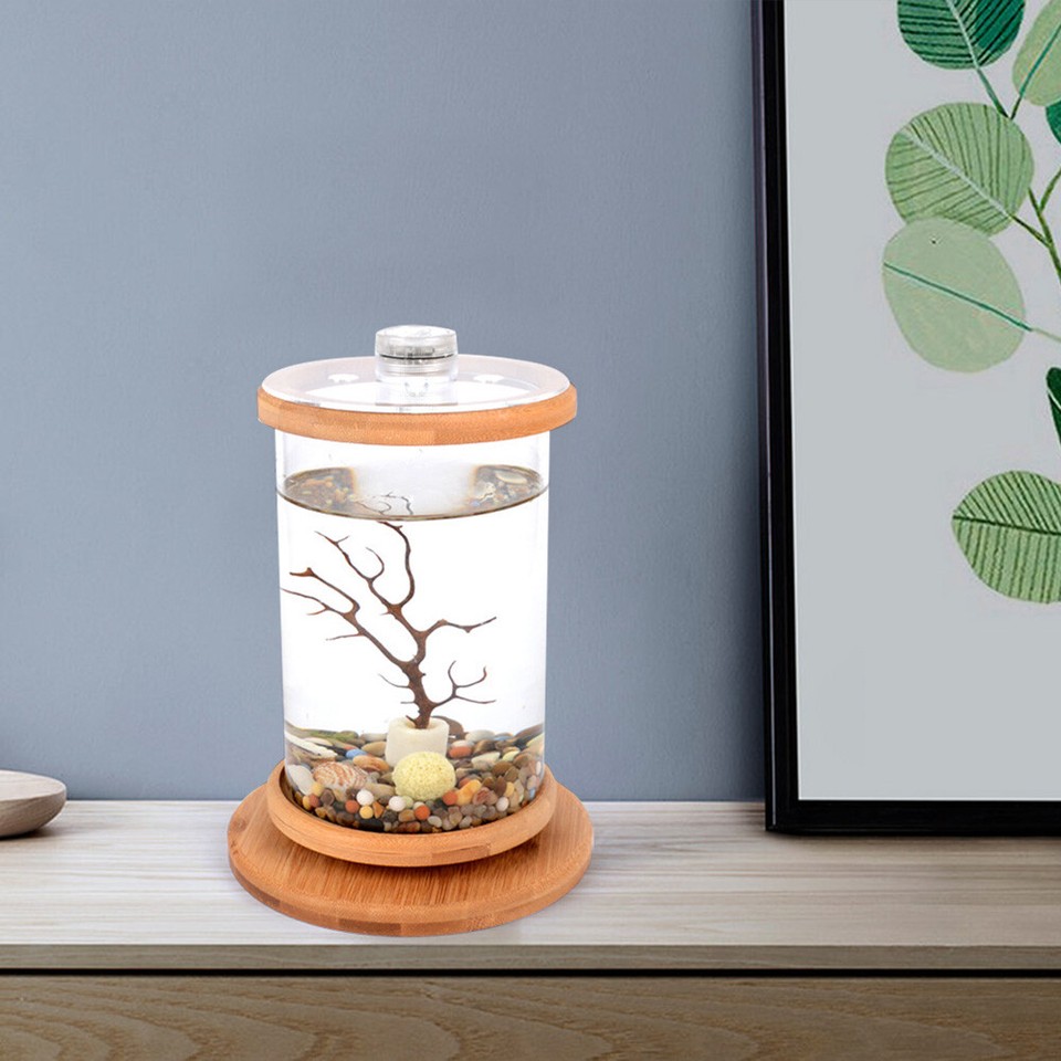 Aquarium Fish Tank 1.2L Small Betta Tank Starter Kit with LED Light and ...