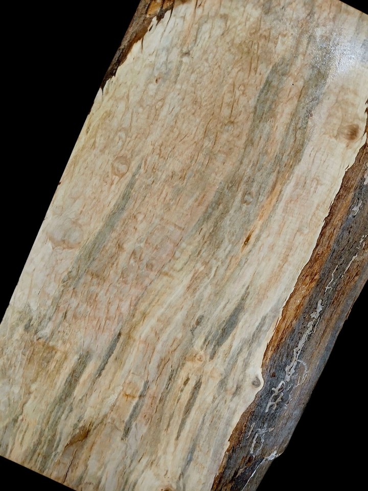 XXL MIND BLOWING CURLY AMBROSIA RED Maple Burl Wood, Turning Wood, Curly MAPLE | eBay