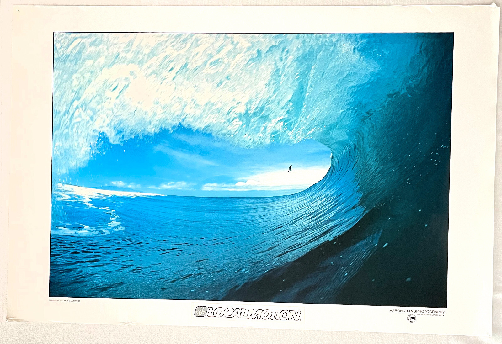 Surf Poster-Aaron Chang- Isla Natividad | eBay