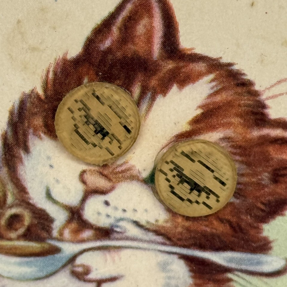 Anthropomorphic Cats Postcard 3D Lenticular Winky Eyes Sick Kitten | eBay