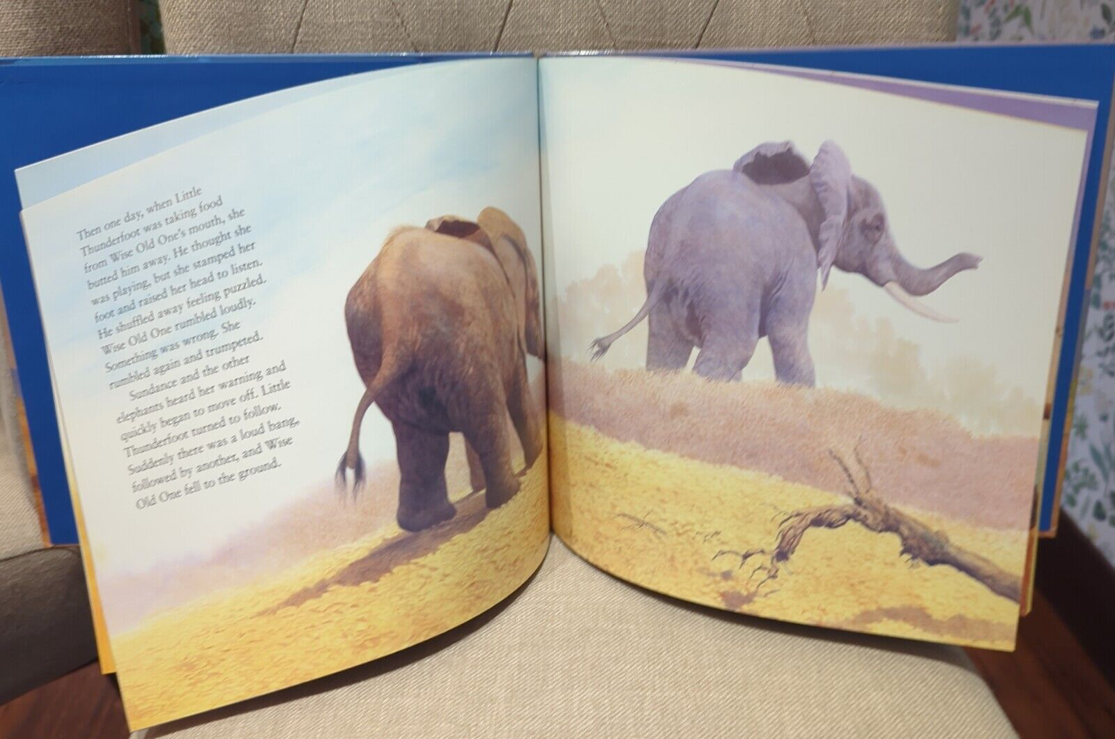 Little Elephant Thunderfoot by Sally Grindley & John Butler (Hardcover ...