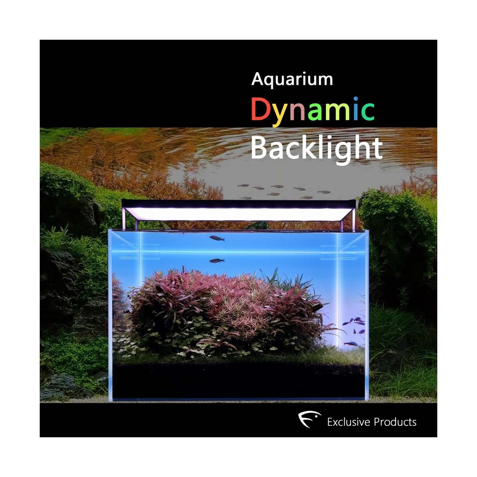 Aquarium Backlight Screen-Fish Tank Background Light,for Rimless ...