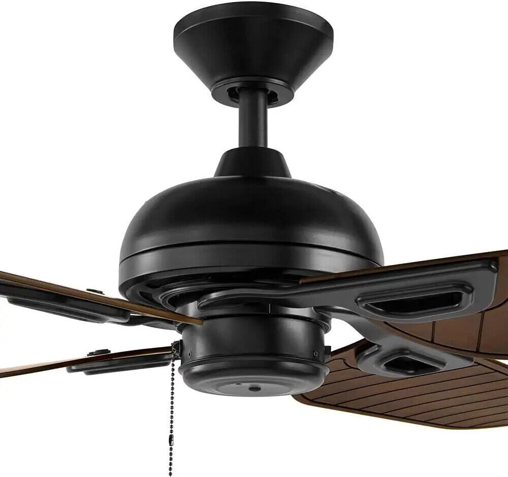 Apollo Ceiling Fan Hampton Bay