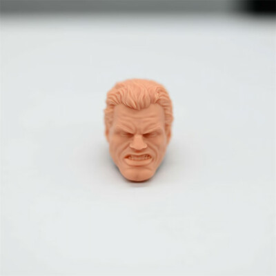 1/12 Scale The Comic Version Human Batman Head Sculpt Unpainted Fit 6 ...