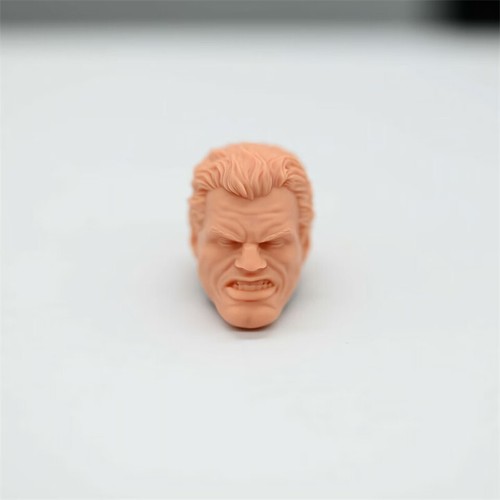 1/12 Scale The Comic Version Human Batman Head Sculpt Unpainted Fit 6 ...