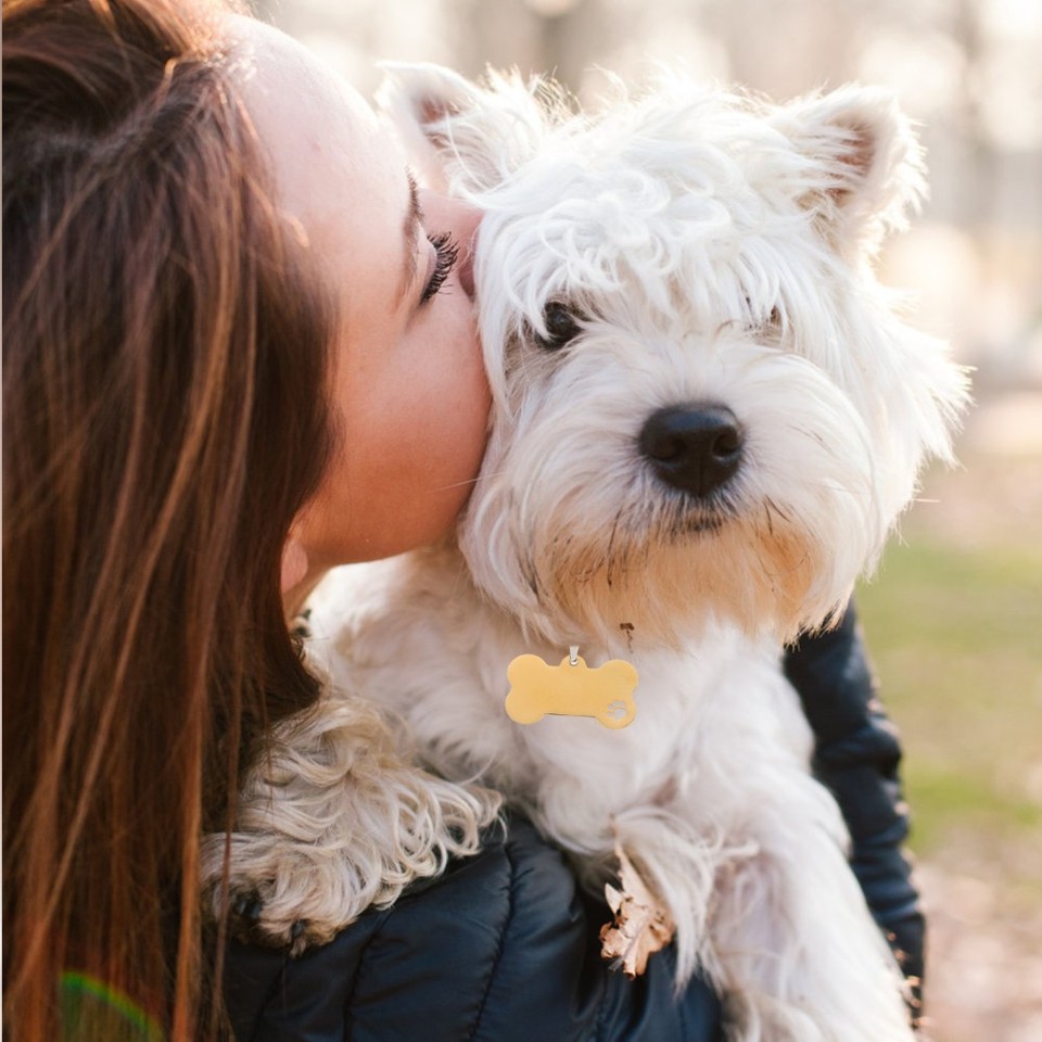 5pcs Bone Shape Dog Tag Stainless Steel DIY Pet Hanging Tag Blank Pet ...