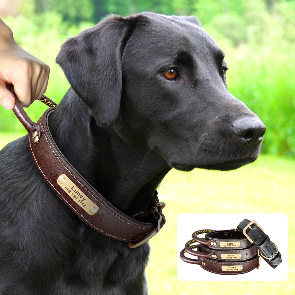 Heavy Duty Dog Training Collar Personalized Pet Dog Leather Collar with ...