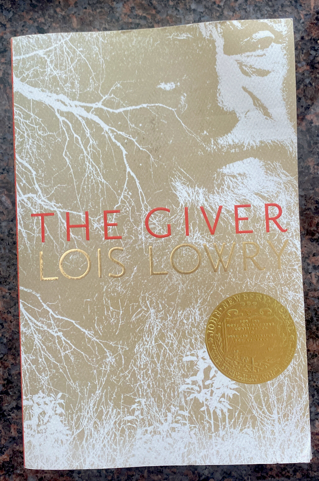 The Giver: A Newbery Award Winner (Giver Quartet, 1) by Lowry, Lois ...