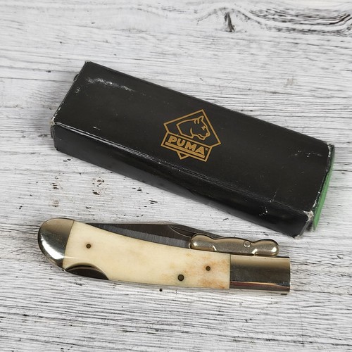 PUMA SWING GUARD MEDICI 210563 1 BLADE POCKET KNIFE BONE HANDLE NEW ...