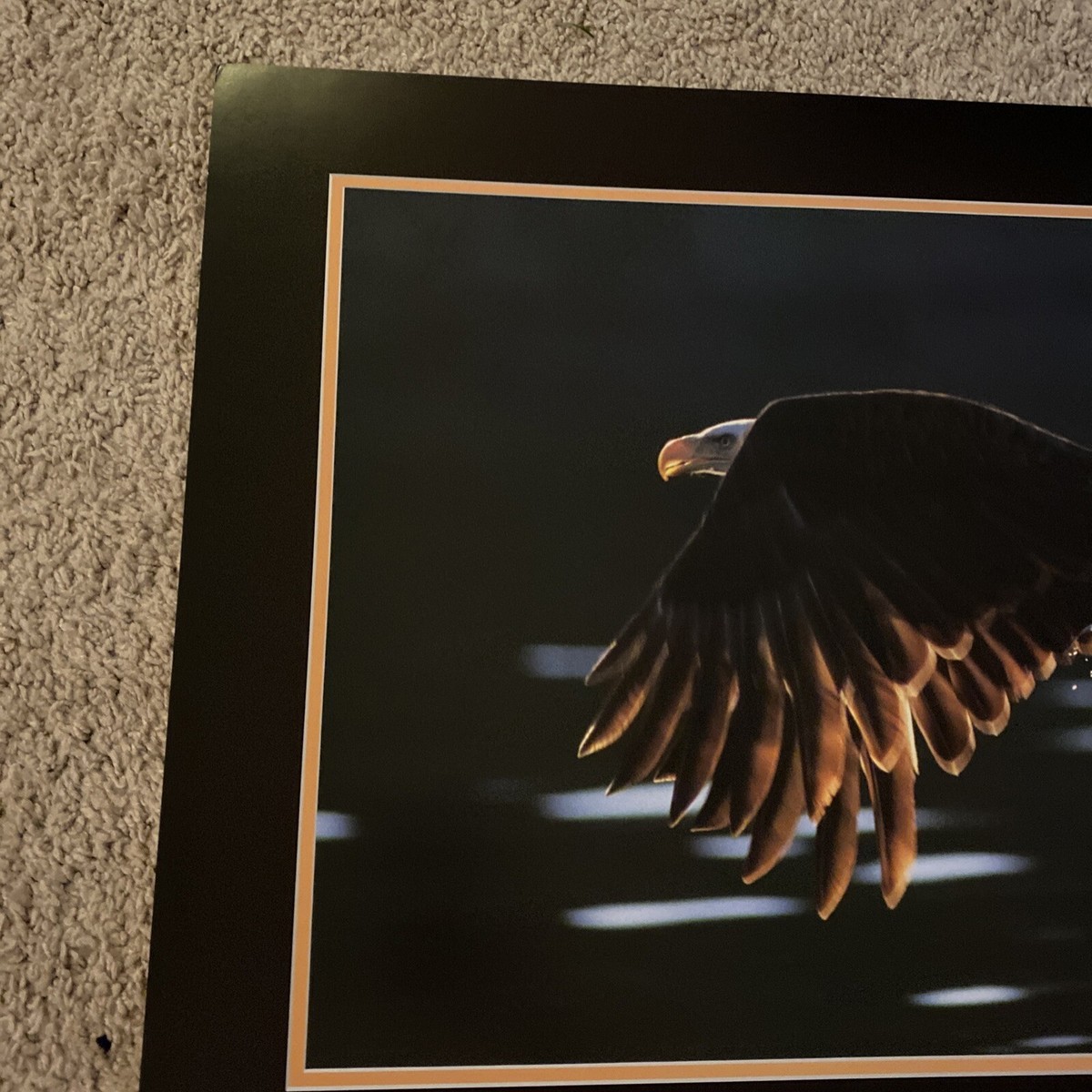 Leadership Posters Eagle