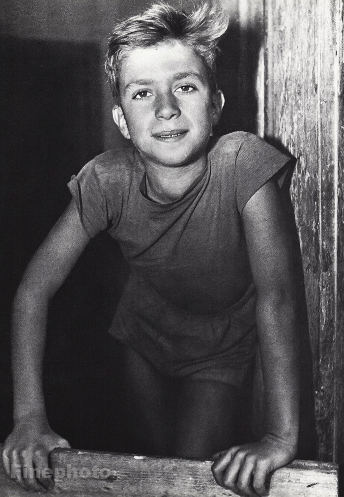 1950s Vintage Young Boy Portrait Germany Original Photo Gravure By Karl ...