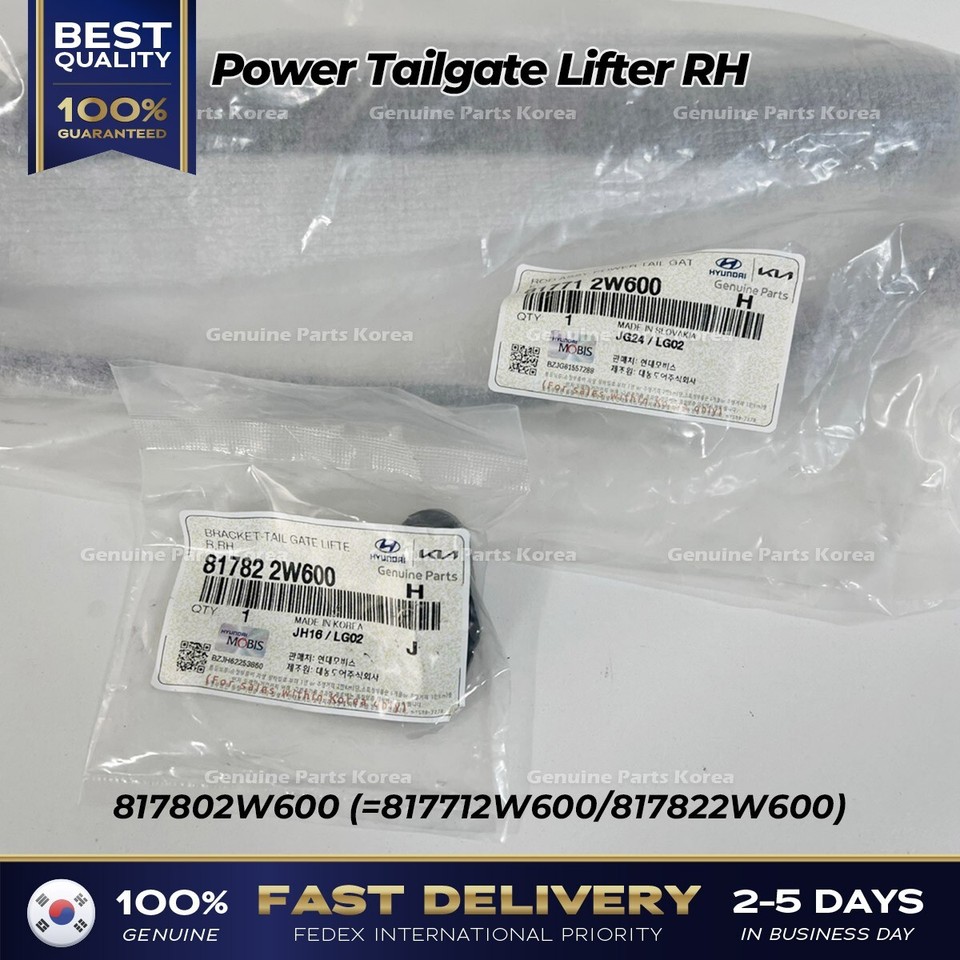 ⭐Genuine⭐ Power Tailgate Lifter RH 817802W600 for Hyundai Santa Fe ...