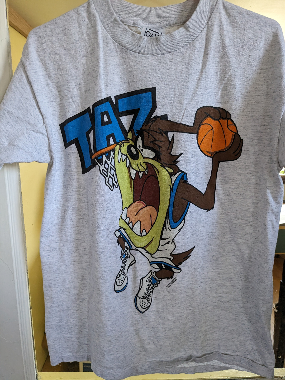 Vintage 1993 Taz Looney Tunes Basketball Dunk T-Shirt… - Gem