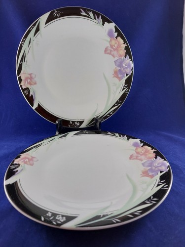TRISA FINE PORCELAIN 98690B - 2 DINNER PLATES 10 5/8" DIAMETERS. GOOD ...