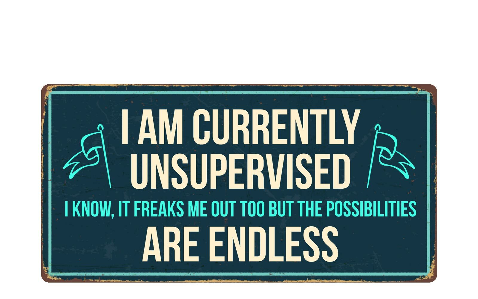 1938HS I Am Currently Unsupervised 5"x10" Novelty Sign | eBay