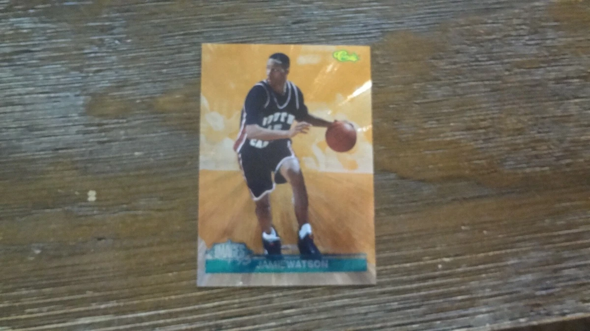 Jamie Watson Basketball