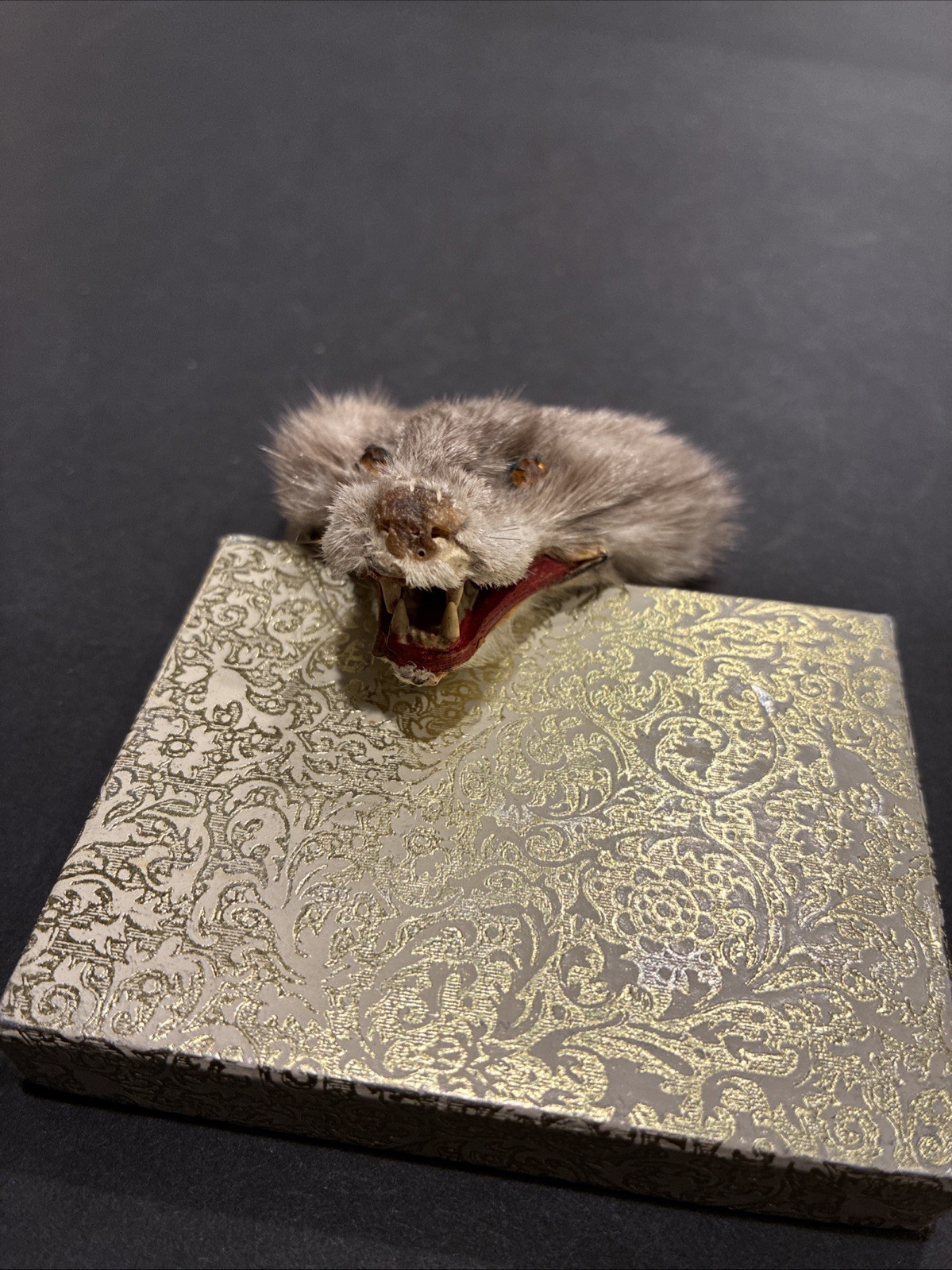 FABULOUS GENUINE RARE VINTAGE 1950S/60S MINK FUR PIN - Gem