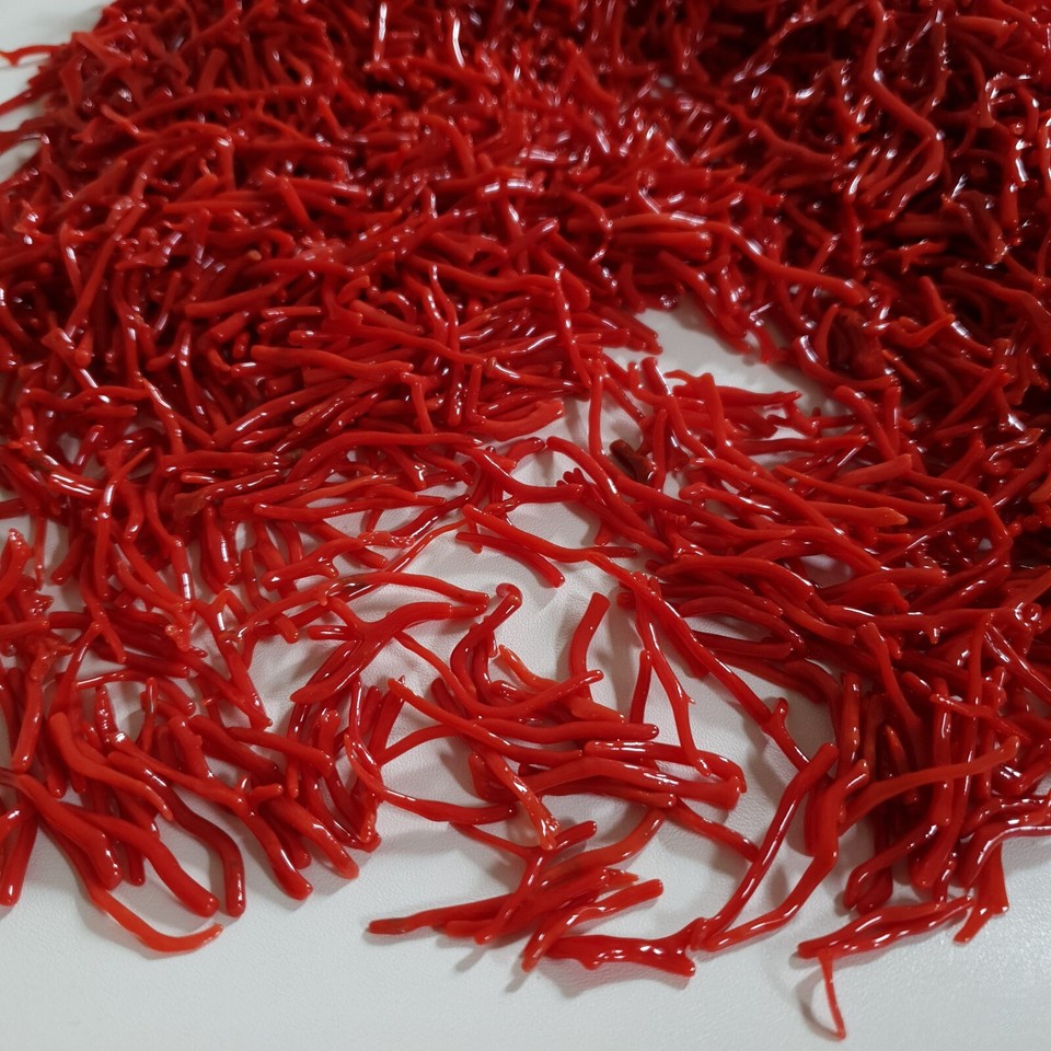 Italian Natural Red Coral Branch Mediterranean Sea Red Coral Gemstone ...