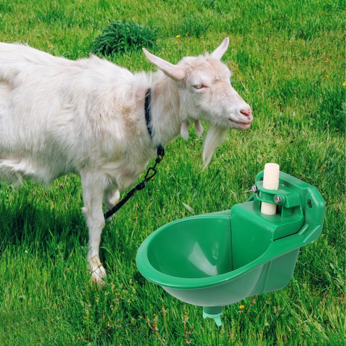 Automatic Watering Systems For Livestock Sheep Feeder Plastic