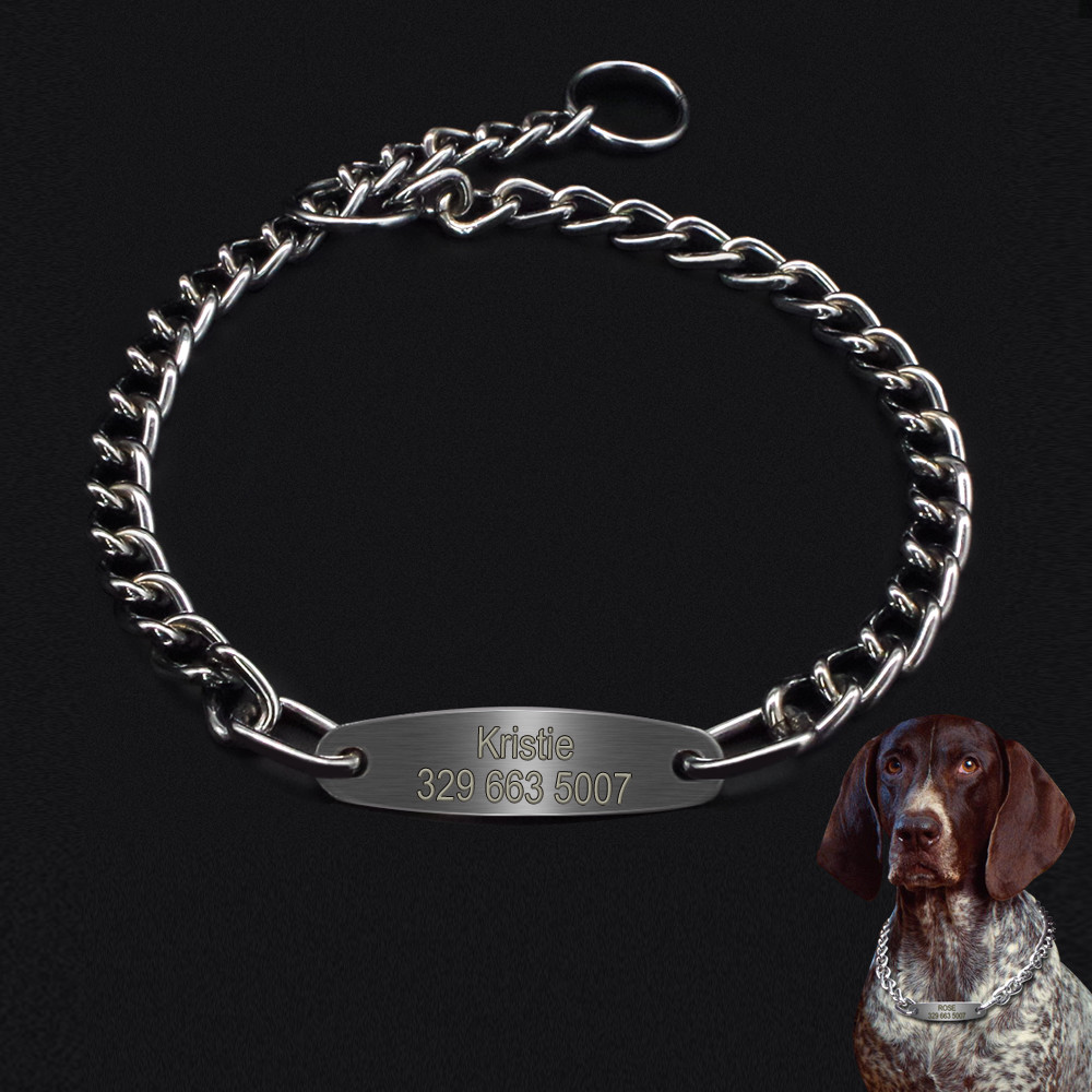 Puedes Dejar Una Cadena De Estrangulamiento En Un Perro