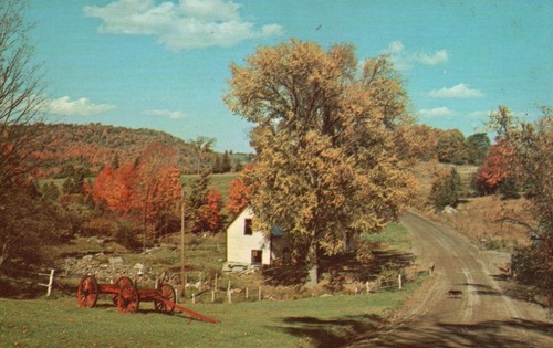 Typical Fall View on a Vermont By-Way, VT, Chrome Vintage Postcard ...
