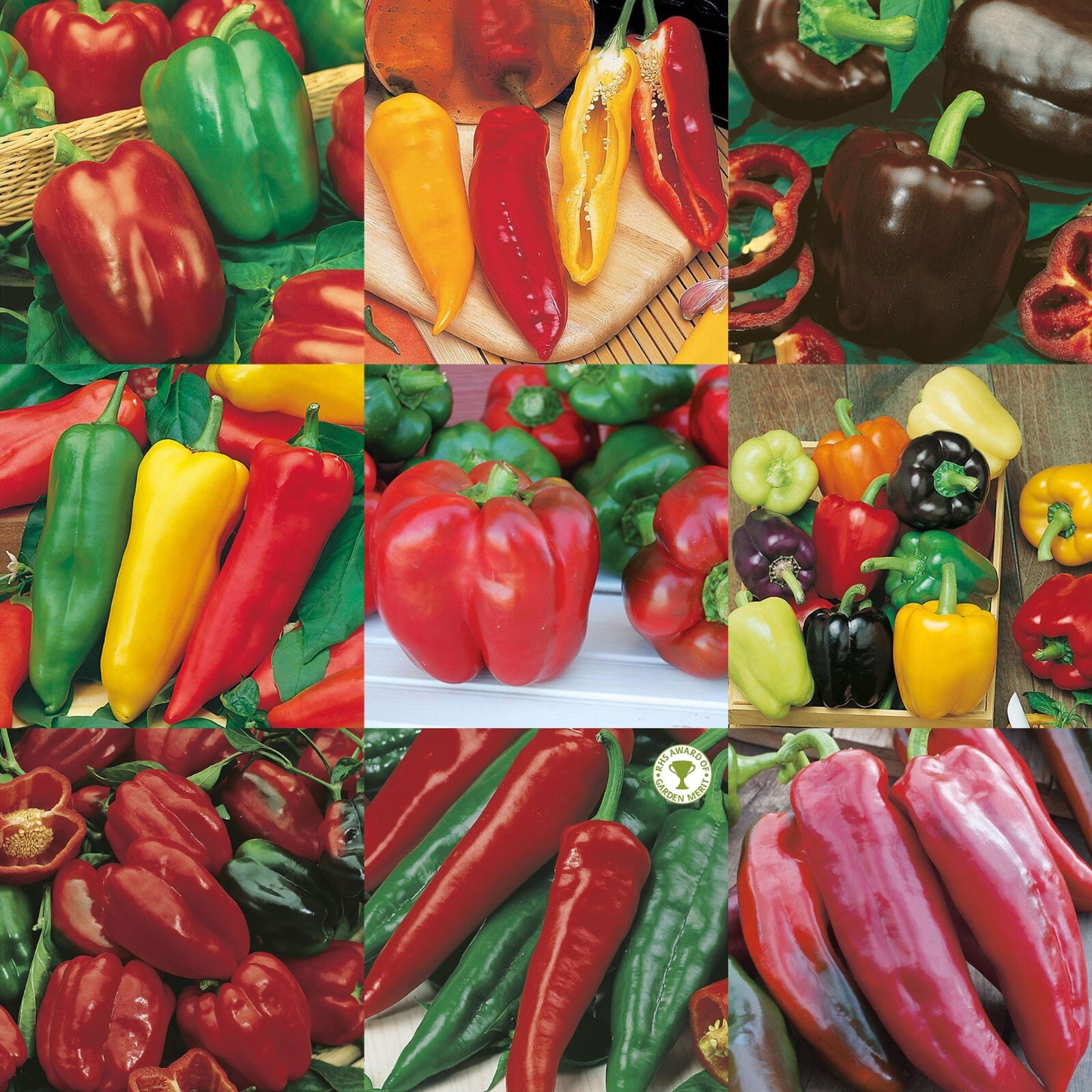 Sweet Pepper Seeds Selection by Mr Fothergill's Vegetable Seeds FREE UK ...
