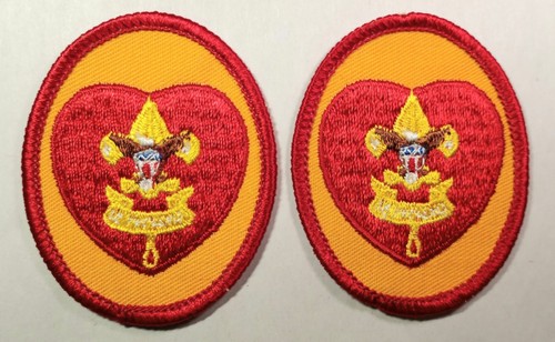 VintagevBoy Scouts BSA Patch Lot Life Rank 2pc 80s | eBay