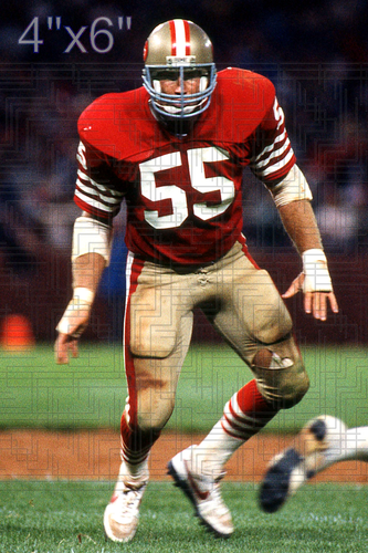 Jim Fahnhorst 1984 - San Francisco 49ers - choose a size - full color ...
